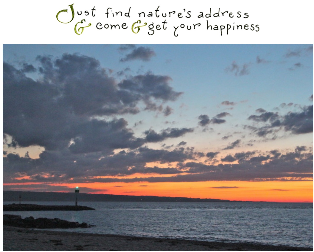 Susan Branch Blog | Susan Branch Blog | Page 13