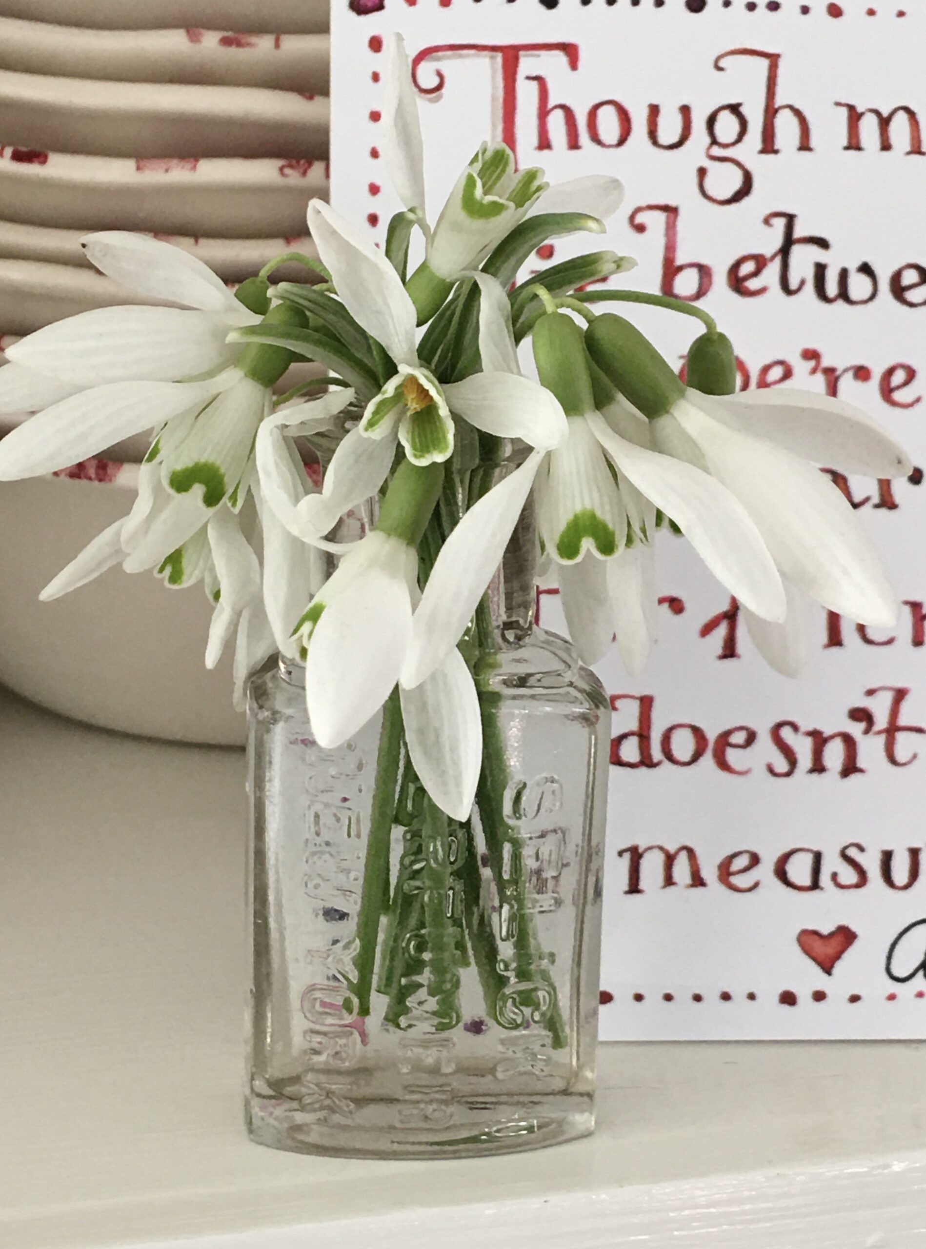 Susan Branch Blog | Susan Branch Blog | Page 3